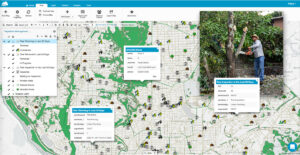 GIS For Vegetation Management | GIS Cloud