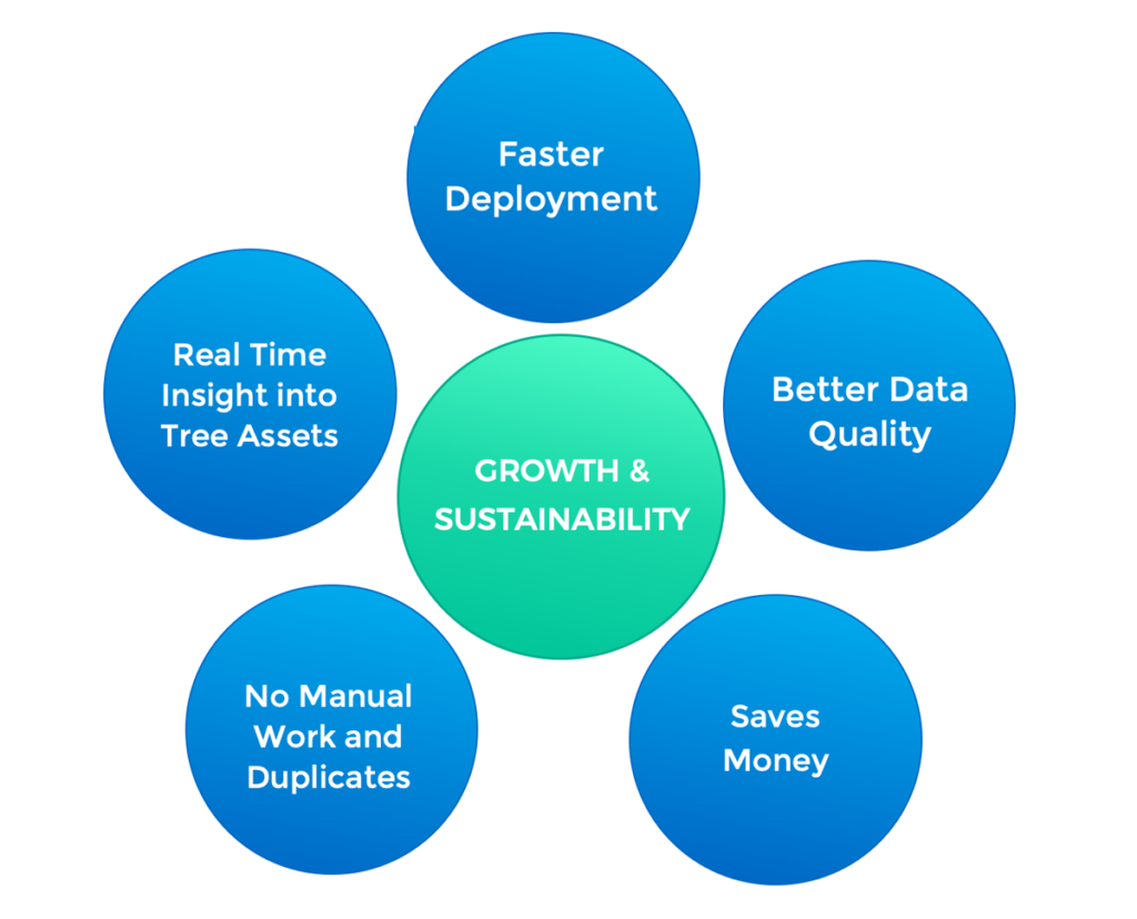 Disaster Response and Risk Assessment in Vegetation Management | GIS Cloud