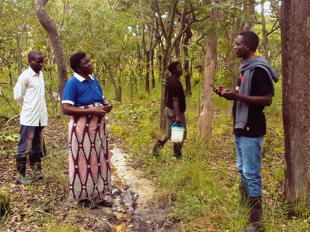 Beekeeping and Reforestation in Response to Climate Change - WeForest ...