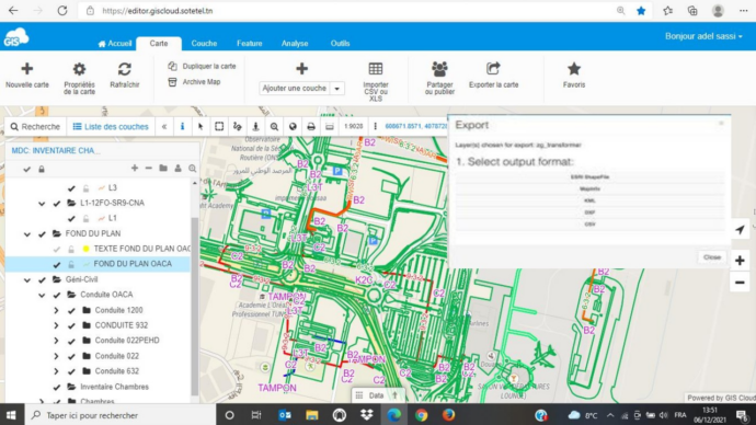 GIS Cloud Solutions in the Telecommunication Industry