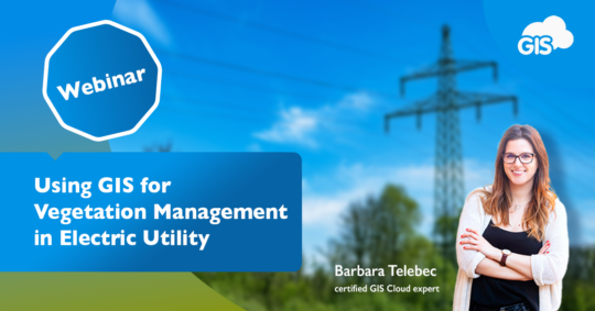 Using GIS for Vegetation Management in Electric Utility